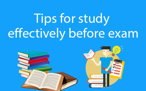 The suitable study plan template for your study schedule